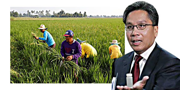 Pagsasaka, hindi basketball na kailangan ng import — Mar Roxas | HATAW ...