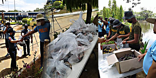 Inaning gulay, isda ipinamahagi ng PNP PRO3 (Swamp sa loob ng Kampo ...